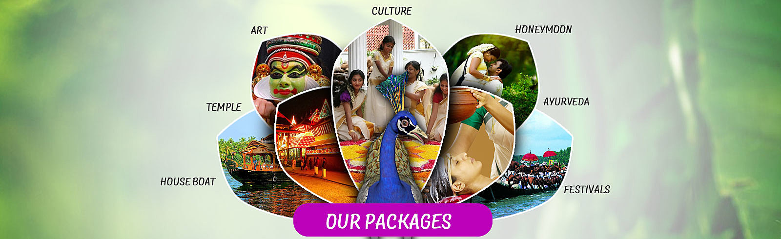 Mayura Bus | Bus Booking | Reasonable Bus Tickets