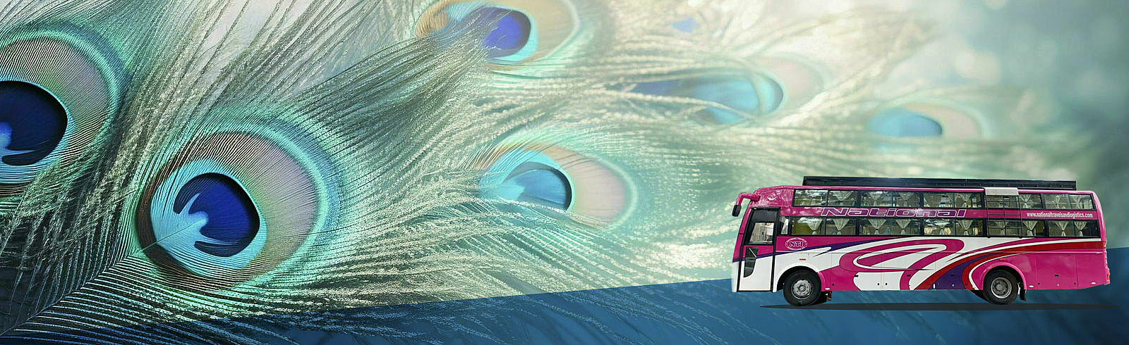 National Travels And Logistics | Bus Booking | Reasonable Bus Tickets