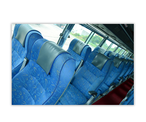 PAAVAI TRAVELS